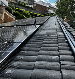 Solar Panel Bird Proofing Sydney